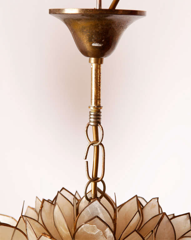 Shell Lotus Flower Chandelier at 1stDibs | lotus flower light fixture