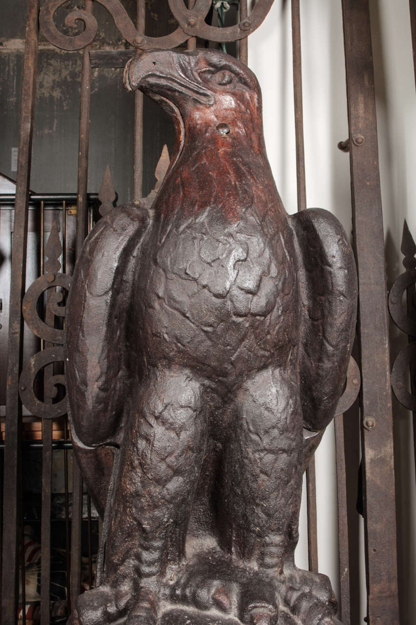 Case Eagle at 1stDibs