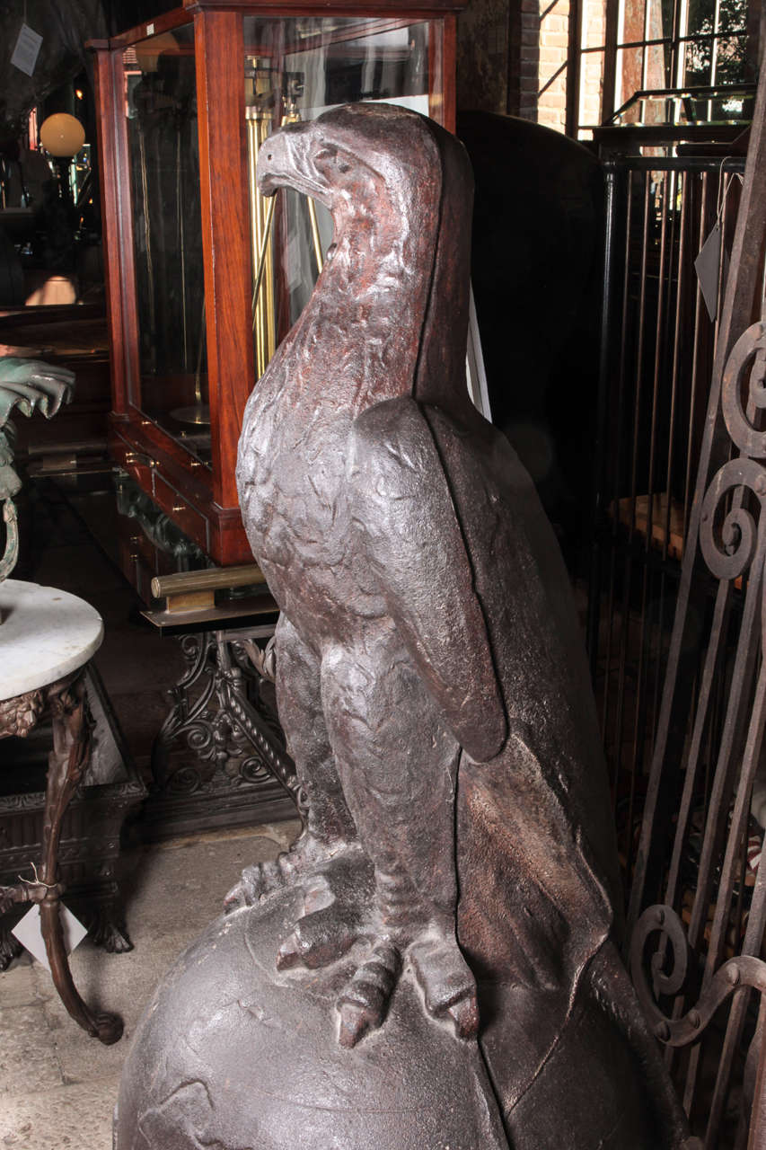 Case Eagle at 1stDibs