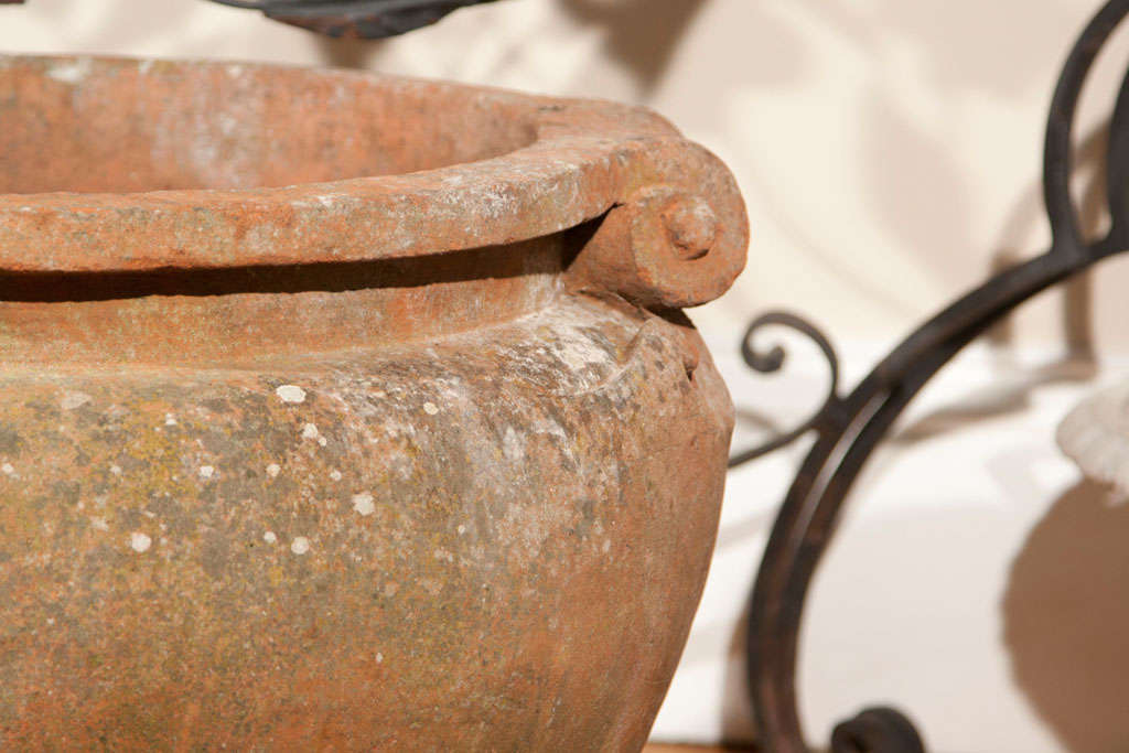 Authentic Celtic Compton Pot Designed by Gertrude Jekyll at 1stDibs ...