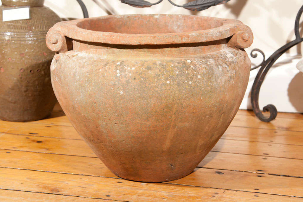 Authentic Celtic Compton Pot Designed by Gertrude Jekyll at 1stDibs ...