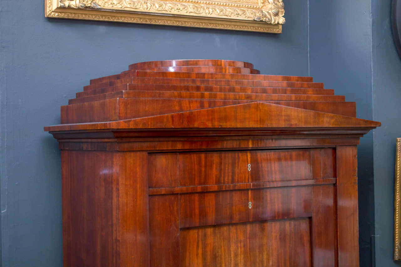 19th Century German Biedermeier Cabinet For Sale at 1stDibs