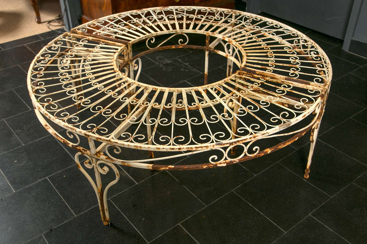 English Iron Tree Surround, Early 20th Century at 1stDibs