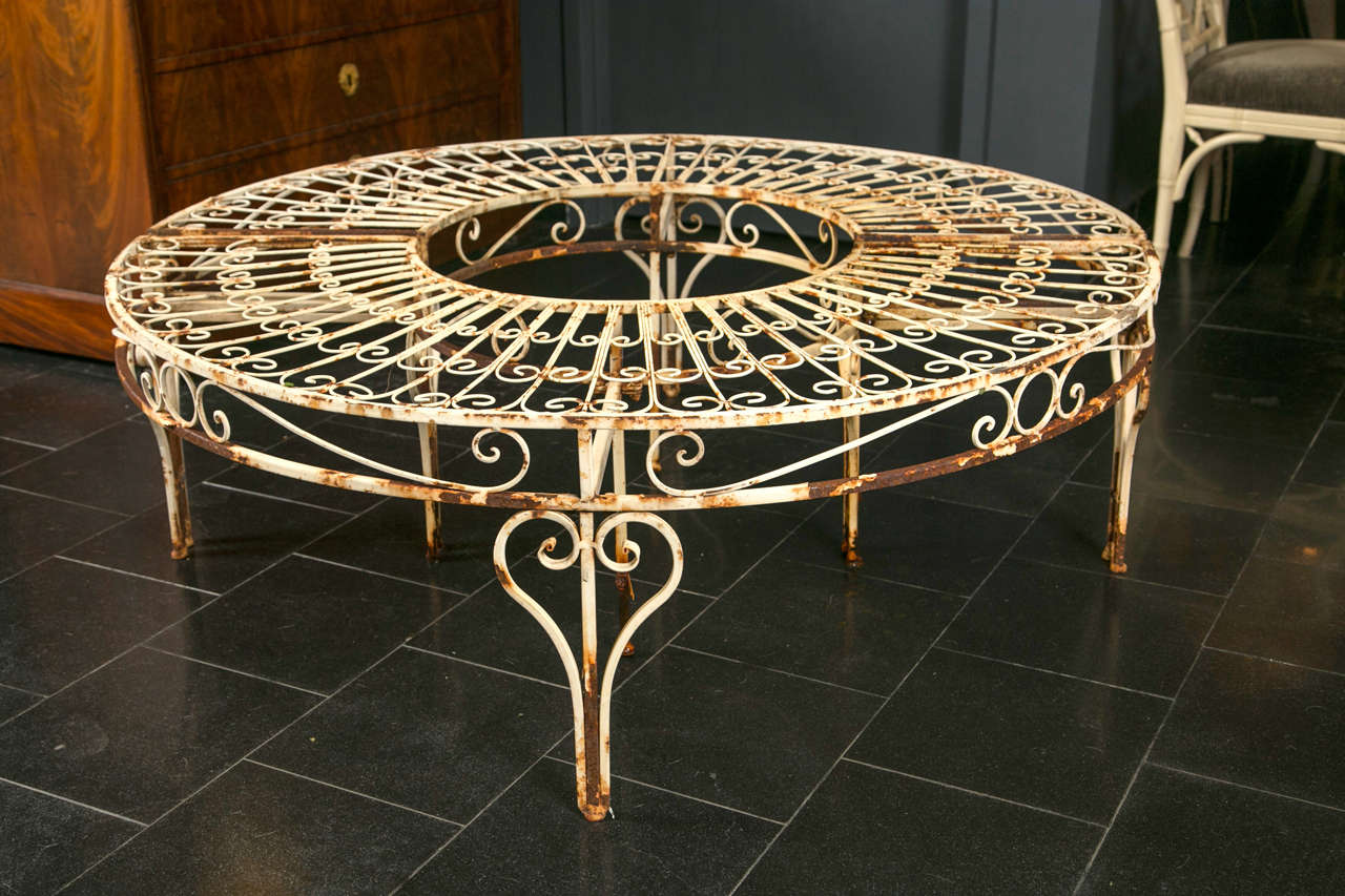 English Iron Tree Surround, Early 20th Century at 1stDibs