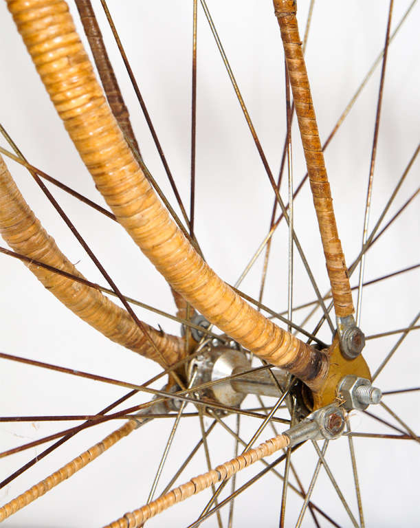 Rattan Covered Bicycle at 1stDibs | rattan bicycle, wicker bicycle ...