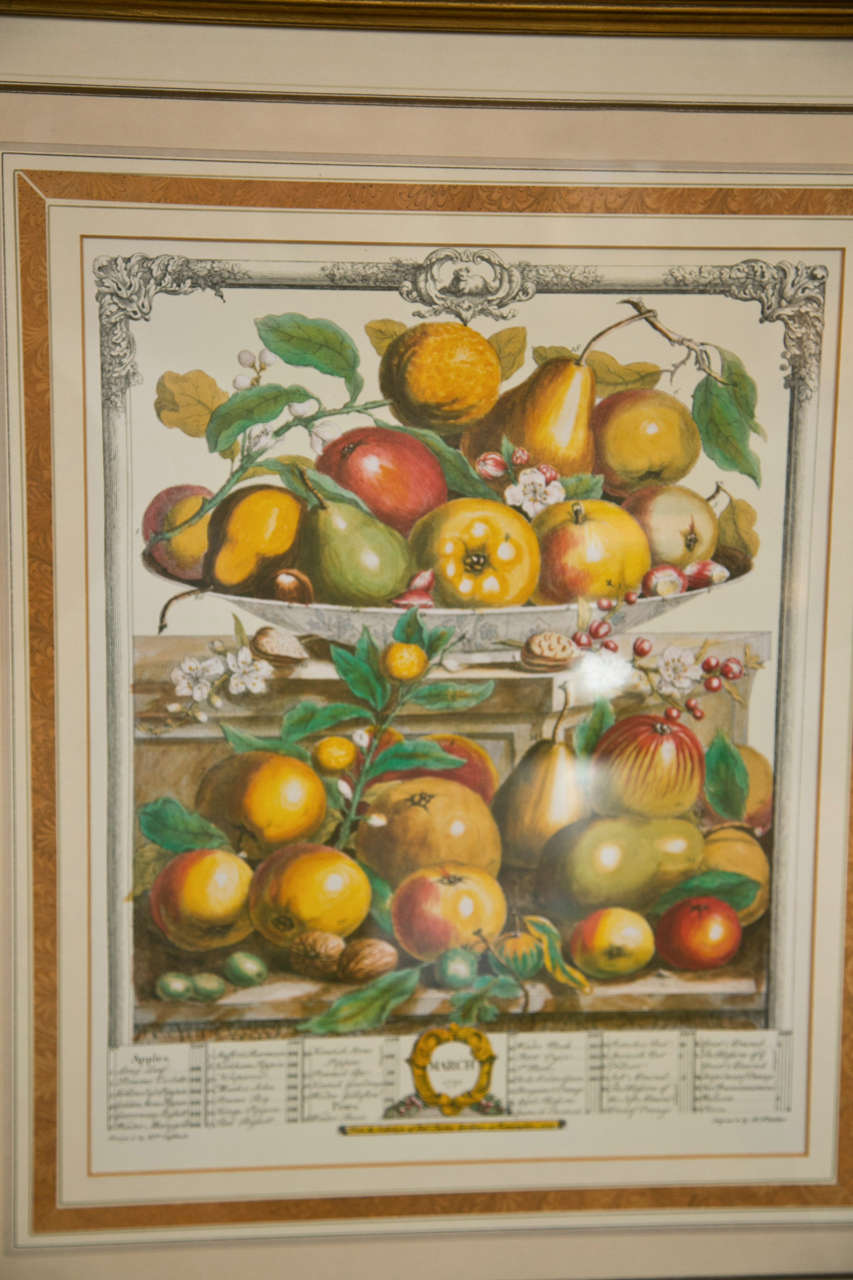 Set of Five Framed Prints of Fruit Each Matted Ebonized And Parcel Gilt ...
