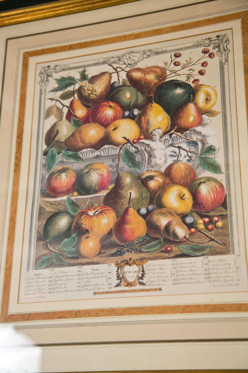 Set of Five Framed Prints of Fruit Each Matted Ebonized And Parcel Gilt ...