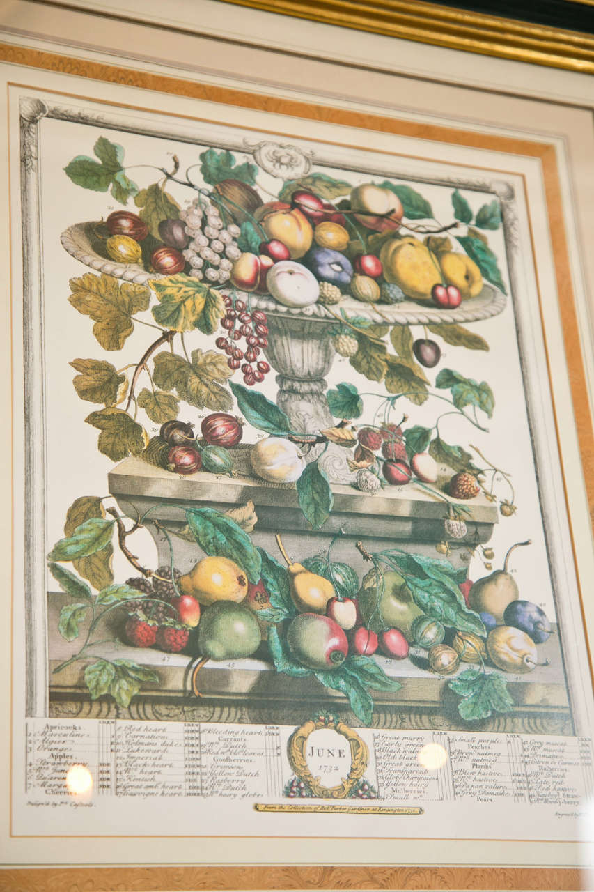 Set of Five Framed Prints of Fruit Each Matted Ebonized And Parcel Gilt ...