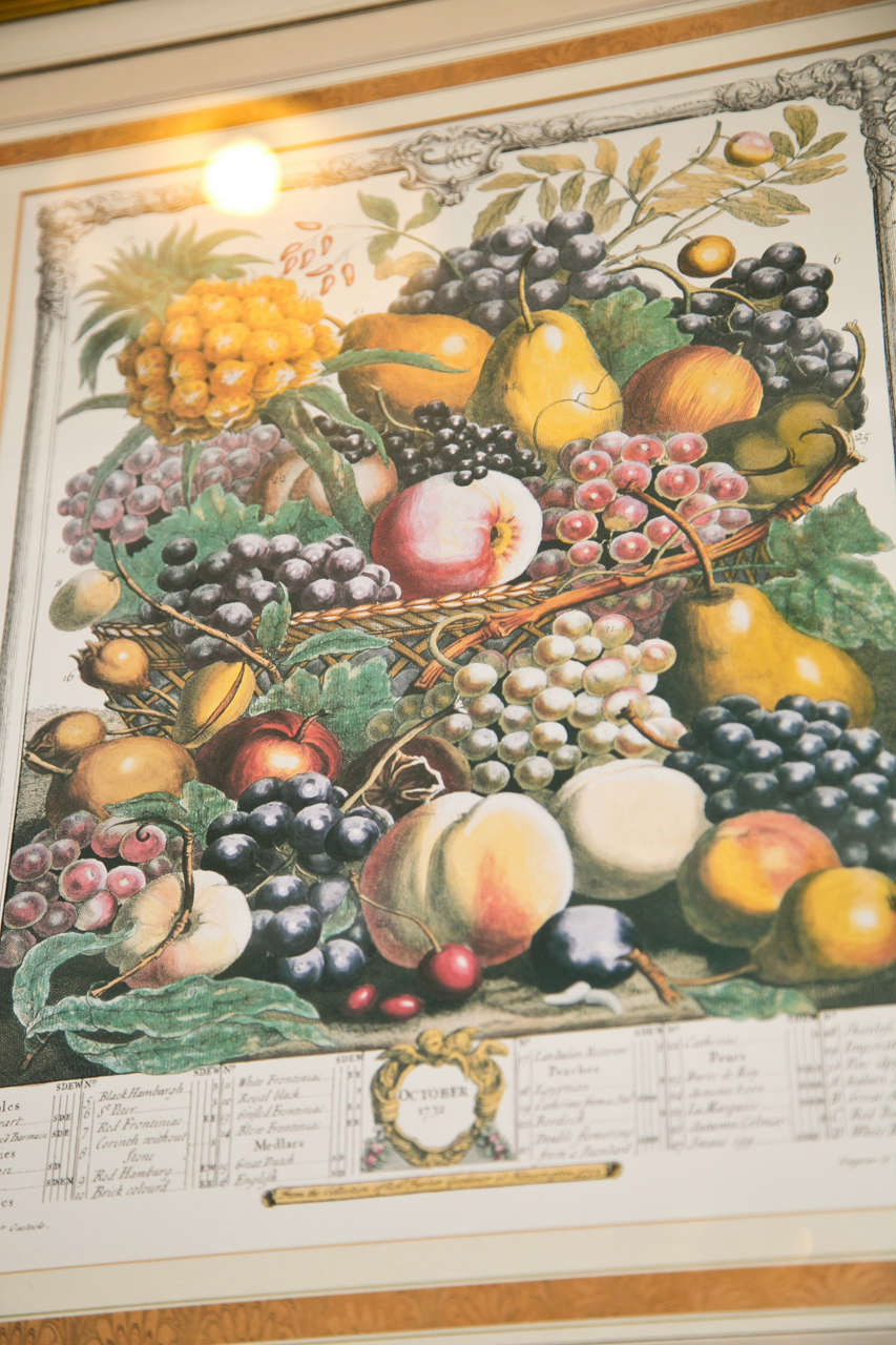 Set of Five Framed Prints of Fruit Each Matted Ebonized And Parcel Gilt ...
