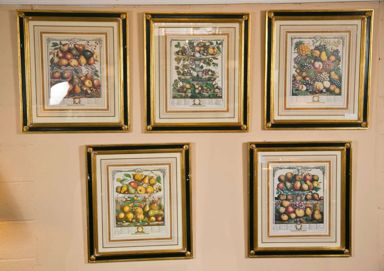 Set of Five Framed Prints of Fruit Each Matted Ebonized And Parcel Gilt ...