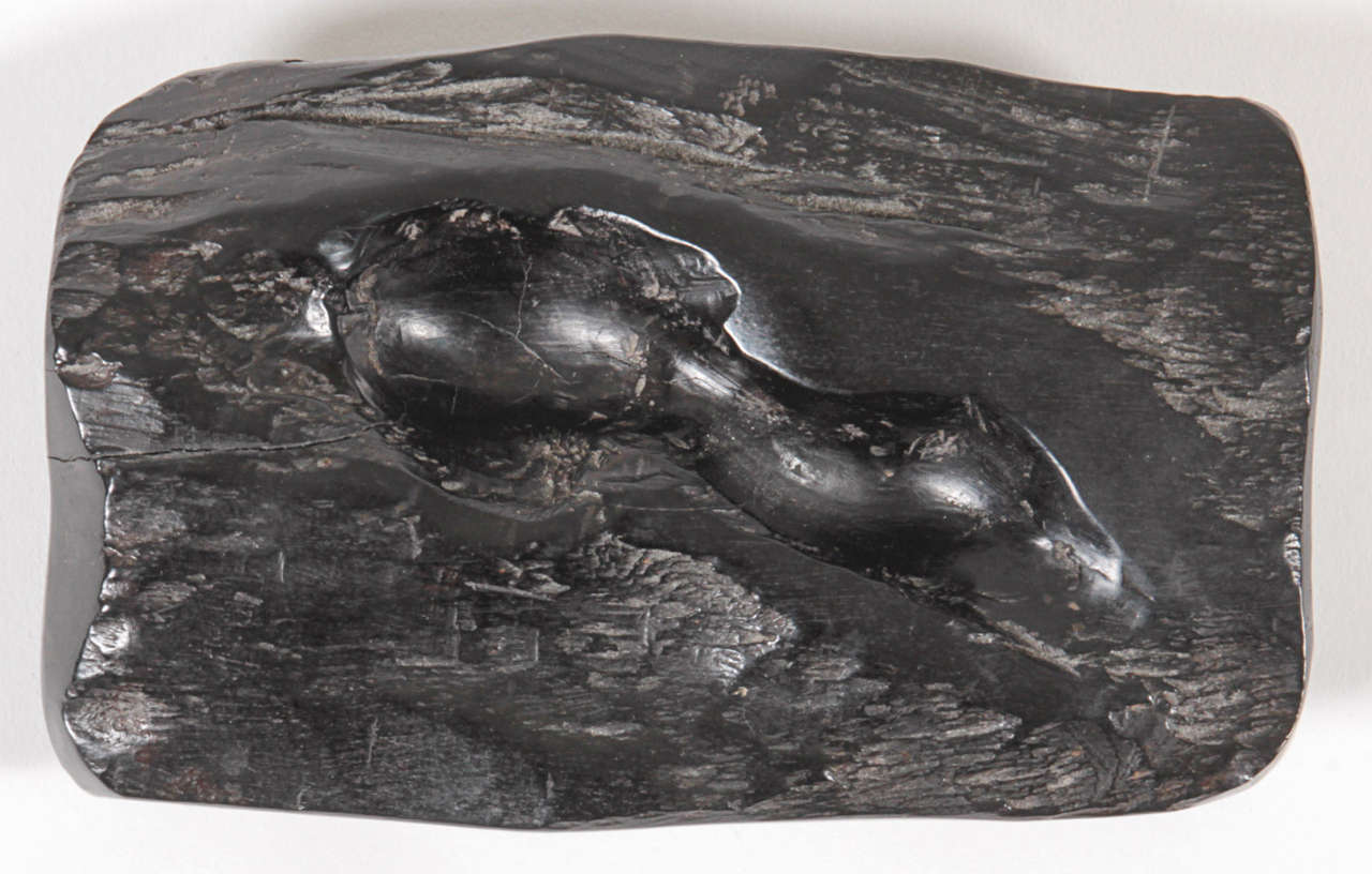 Alexandre Noll, Sculpture at 1stDibs