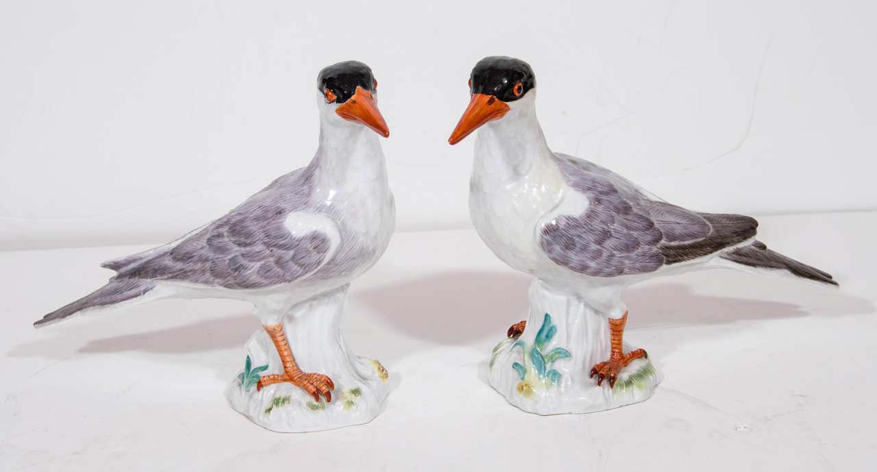 Pair of Superb Antique Meissen German Porcelain Birds For Sale at ...