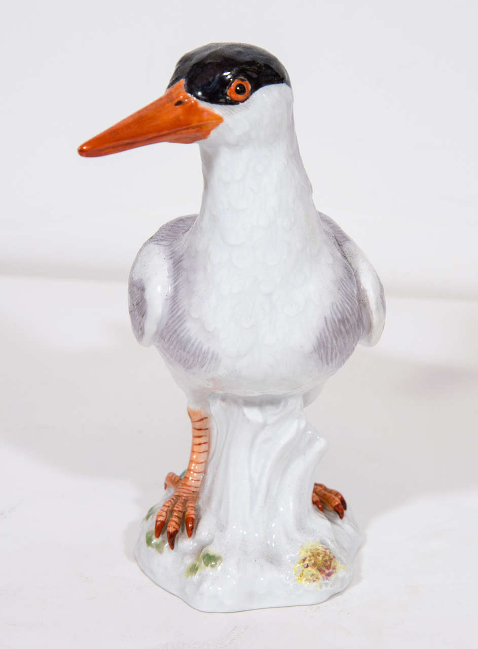 Pair of Superb Antique Meissen German Porcelain Birds For Sale at ...
