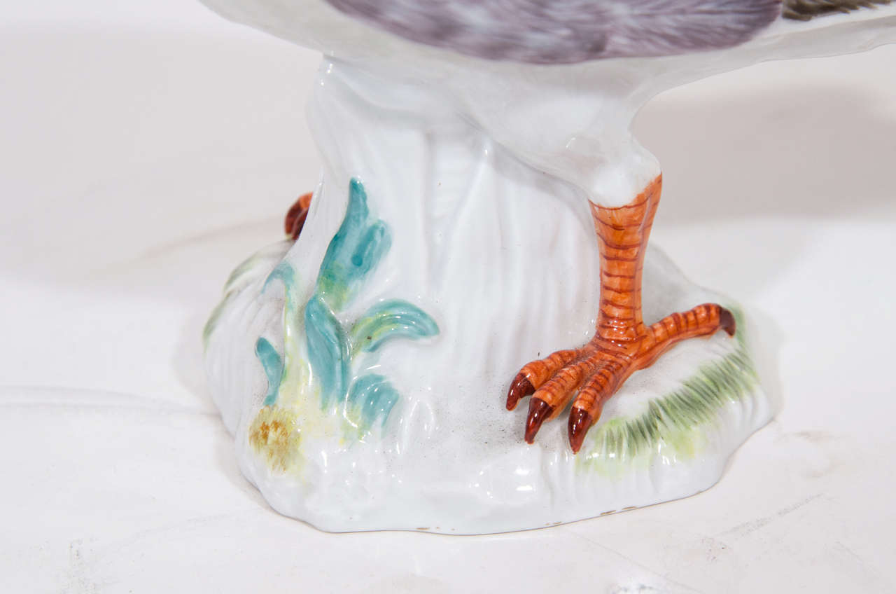 Pair of Superb Antique Meissen German Porcelain Birds For Sale at ...