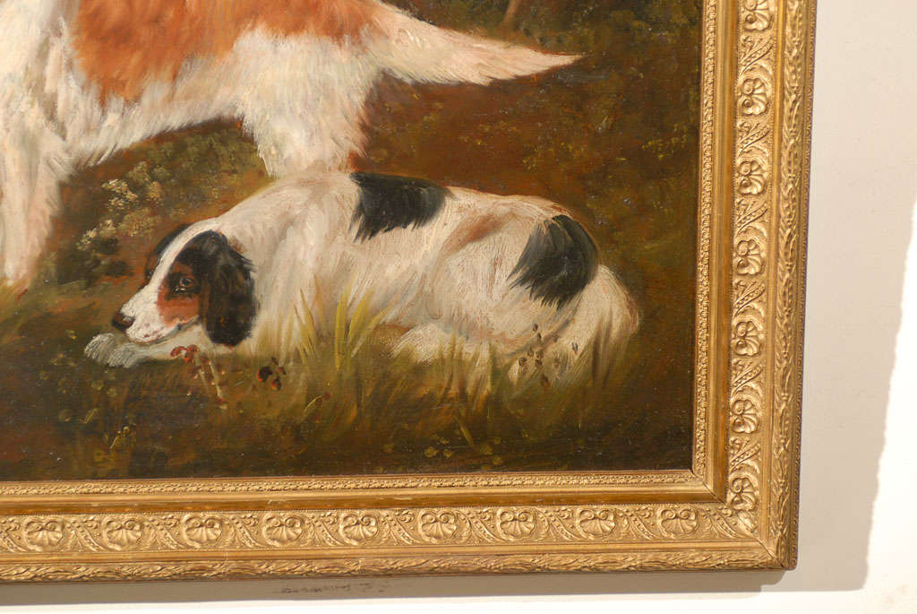 Pair of English Sporting Dog Paintings at 1stDibs