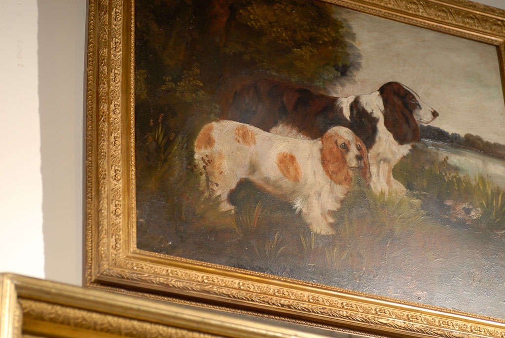 Pair of English Sporting Dog Paintings at 1stDibs