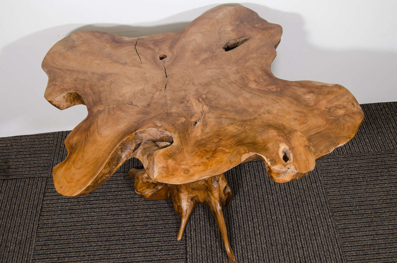 A Mid Century Live Edge Tree-Root Side Table at 1stDibs | tree root ...