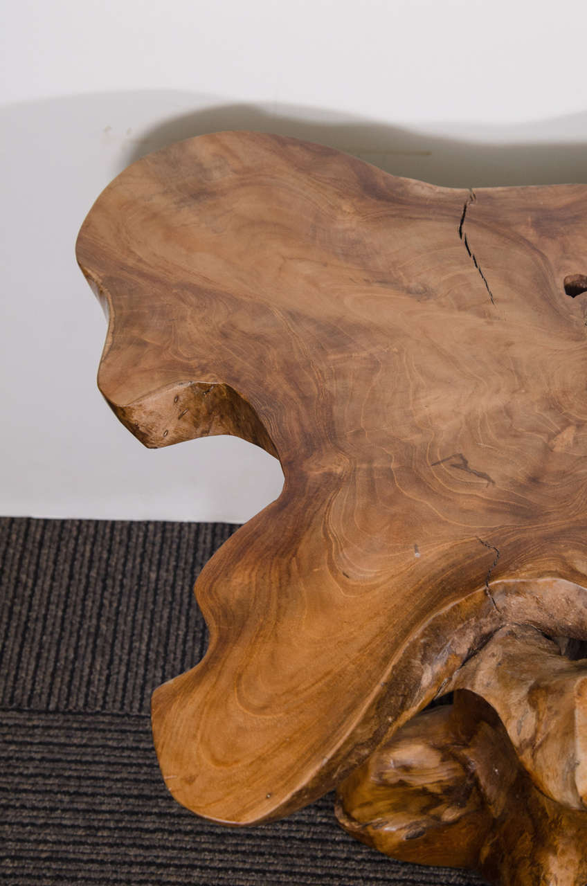 A Mid Century Live Edge Tree-Root Side Table at 1stDibs | tree root ...