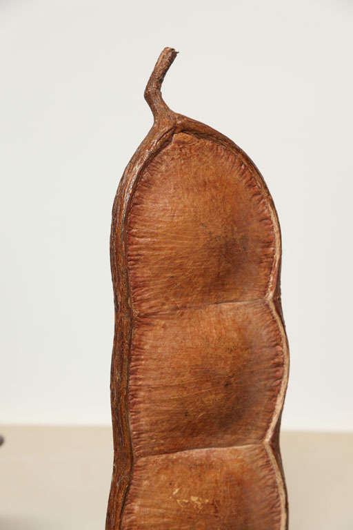 Seed Pod Rattles on Stands at 1stDibs | decorative seed pods