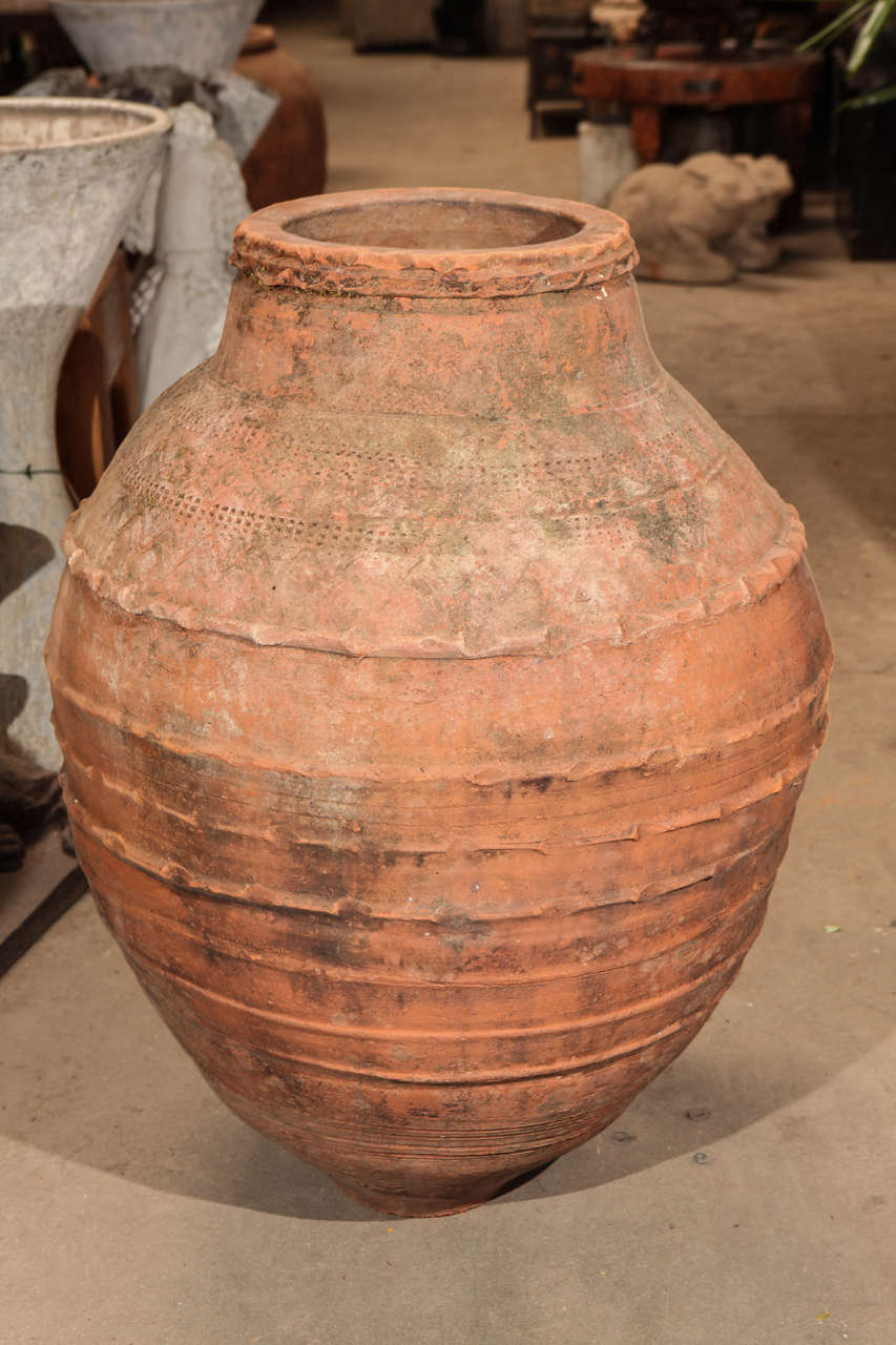 Terra Cotta Olive Oil Jar at 1stDibs
