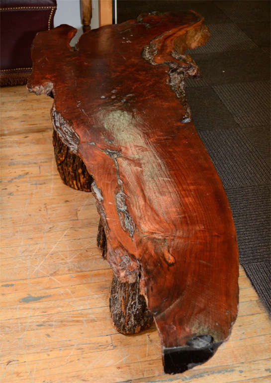 Vintage "Live Edge" Tree Trunk Coffee or Cocktail Table at 1stDibs