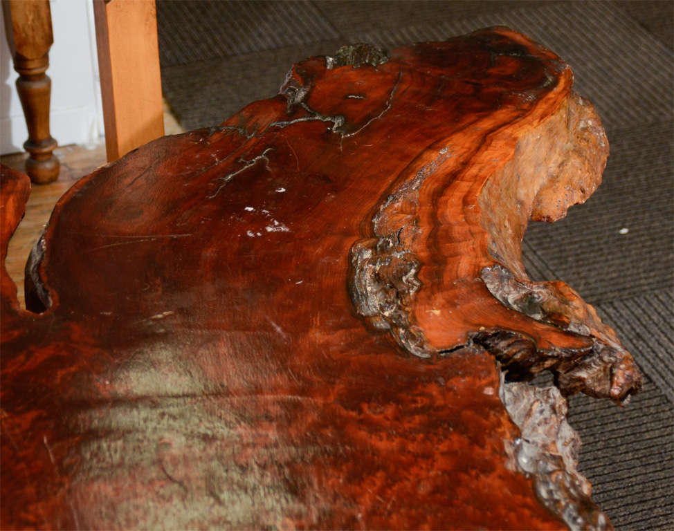 Vintage "Live Edge" Tree Trunk Coffee or Cocktail Table at 1stDibs