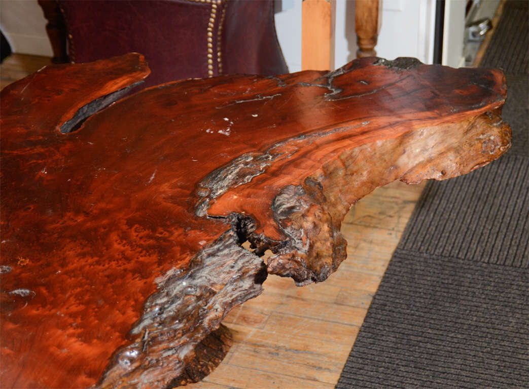 Vintage "Live Edge" Tree Trunk Coffee or Cocktail Table at 1stDibs