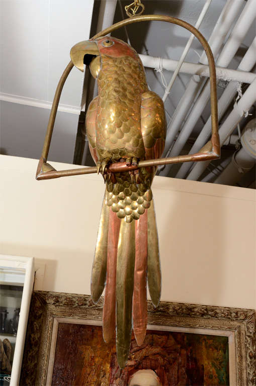 Pair of Brass Parrot Sculptures attributed to Sergio Bustamante at ...