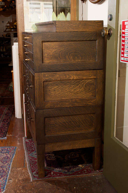 Oak Multi Drawer/Purpose File Cabinet at 1stDibs