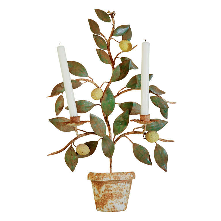 Lemon Tree Candelabra Wall Sconce at 1stDibs