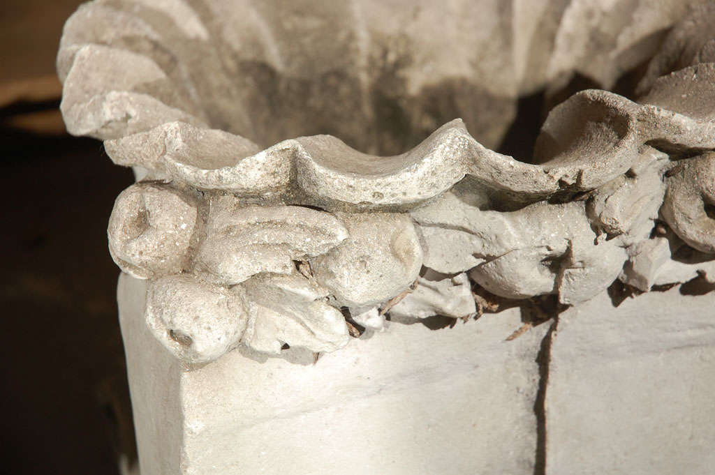 Pair of Cast Concrete Shell Shaped Planter at 1stDibs