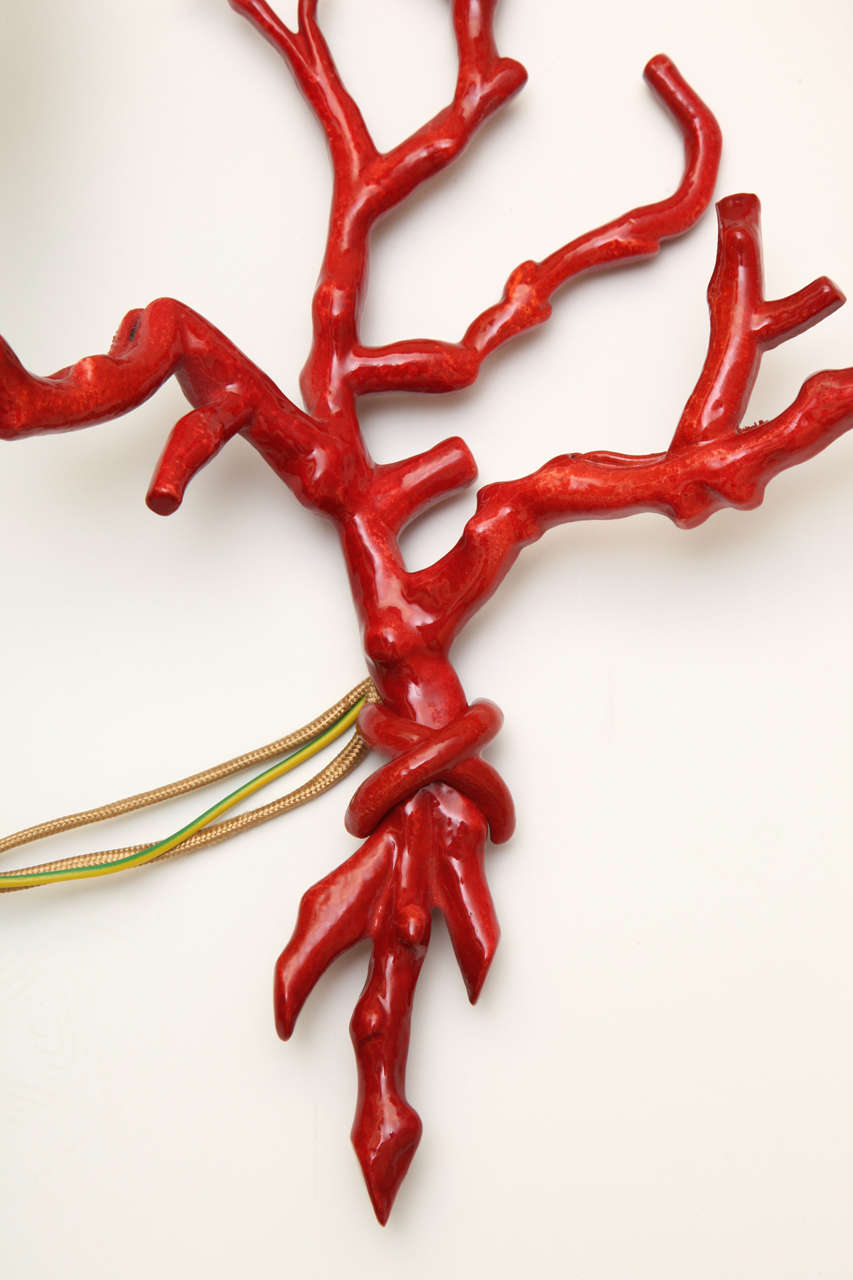 Coral Motif Lacquered Bronze Sconces For Sale at 1stDibs