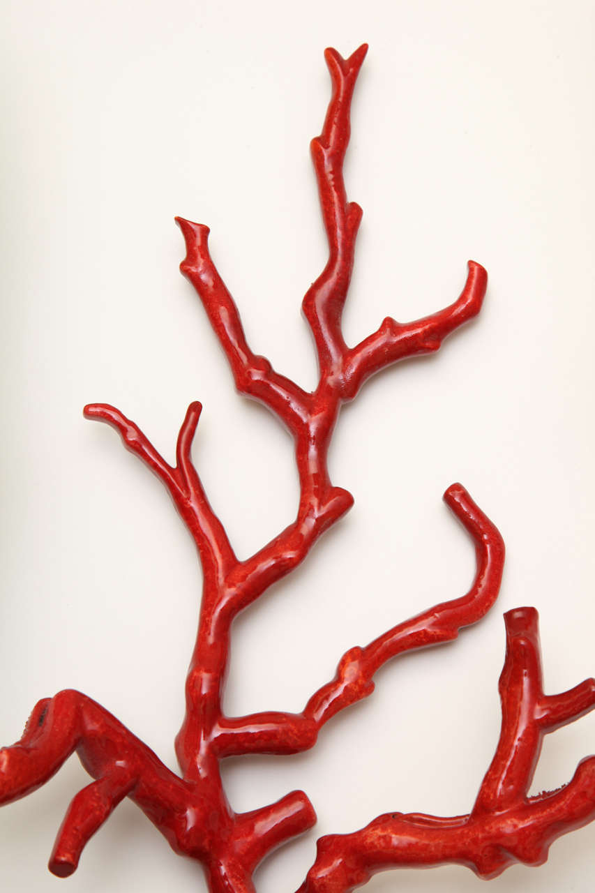 Coral Motif Lacquered Bronze Sconces For Sale at 1stDibs