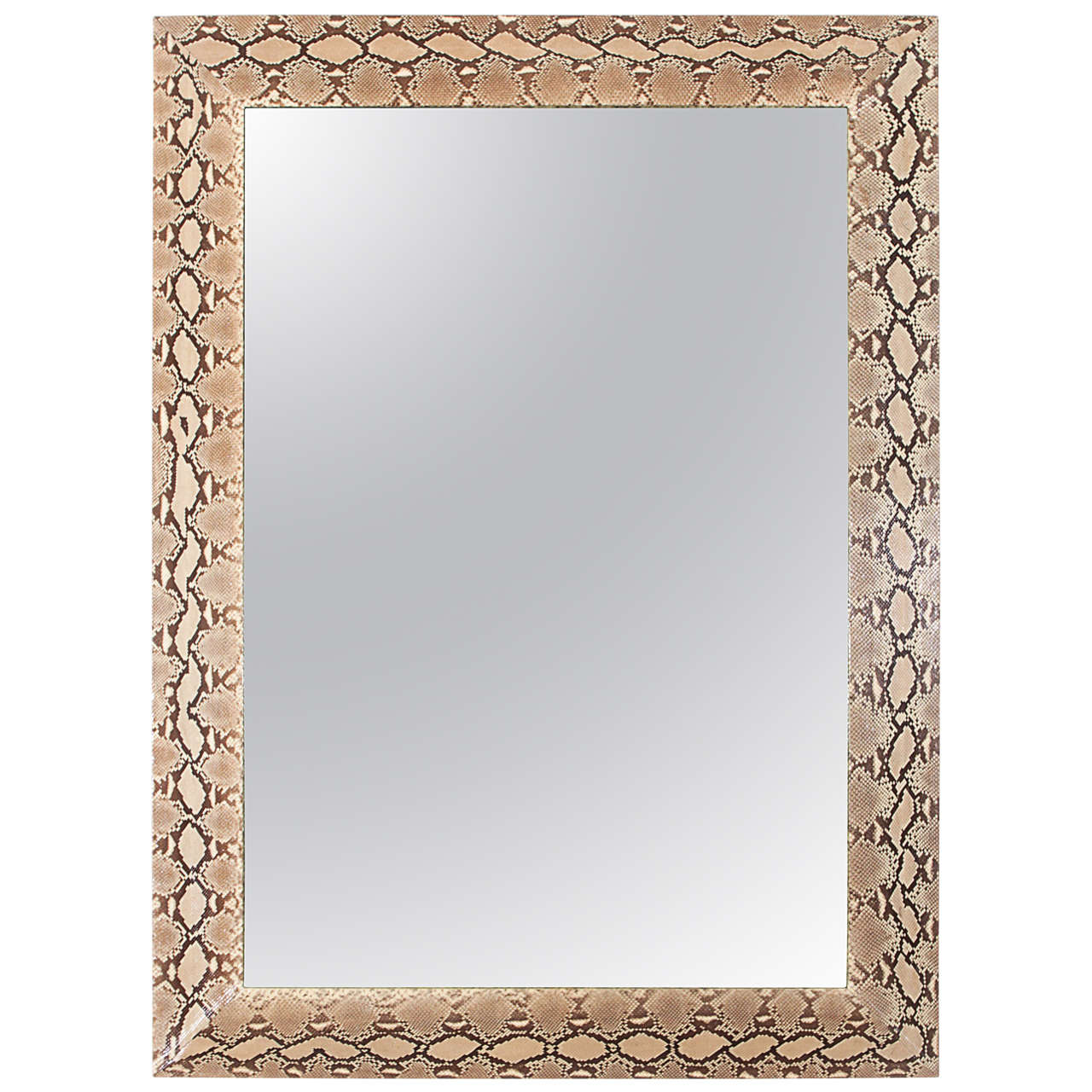Monumental Genuine Python Mirror at 1stDibs