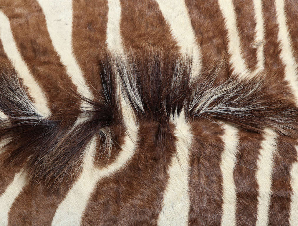 Zebra Rug at 1stDibs
