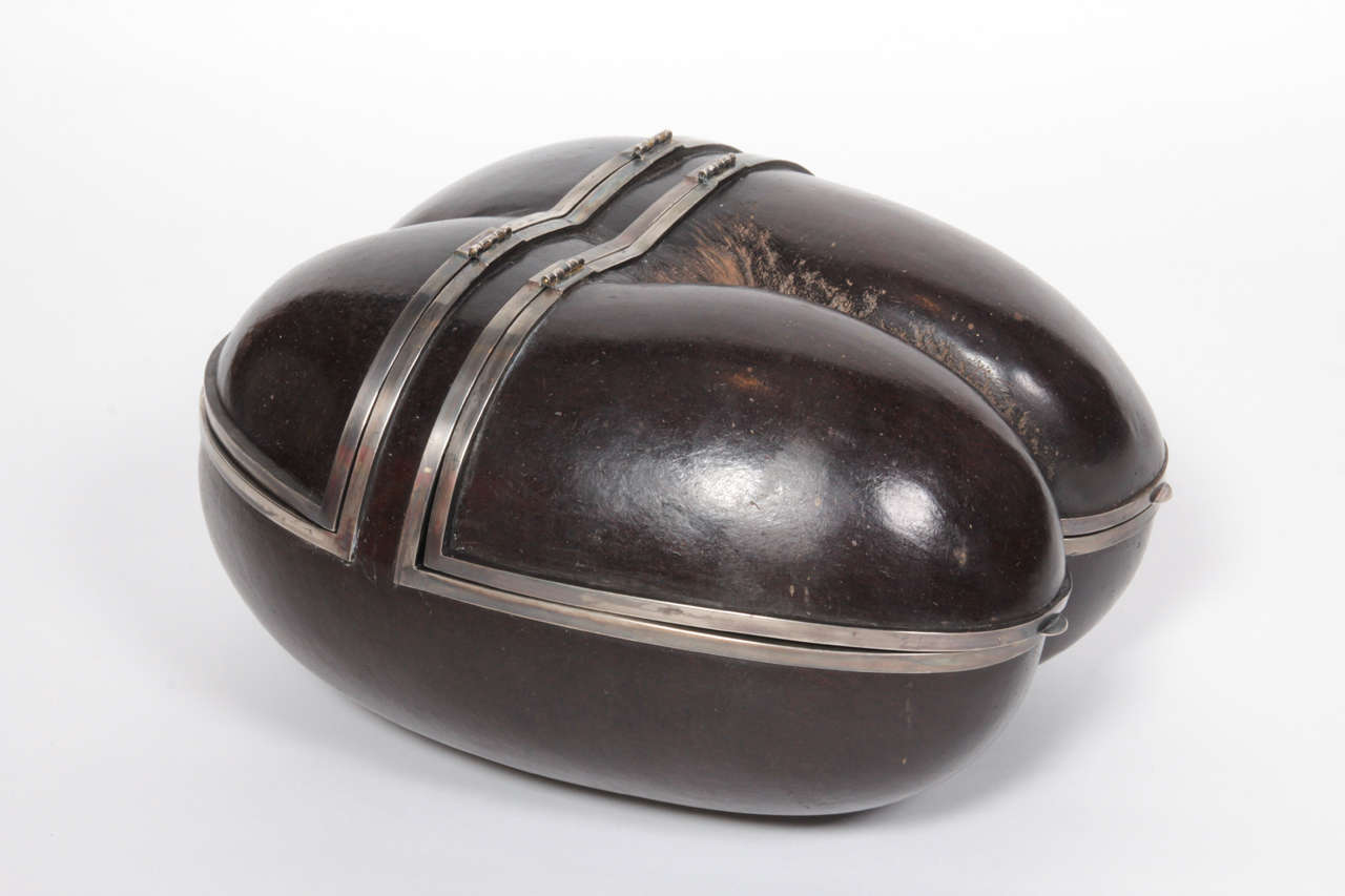 A Fine Silver Mounted Coco De Mer Double Sided Box For Sale at 1stDibs