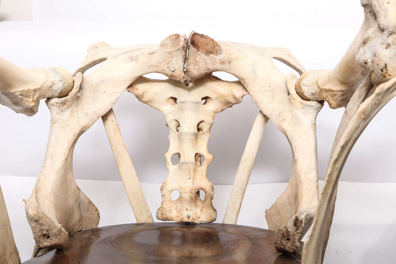 Modernist Sculptural Chair Crafted Out of Cow Bones at 1stDibs | chair ...