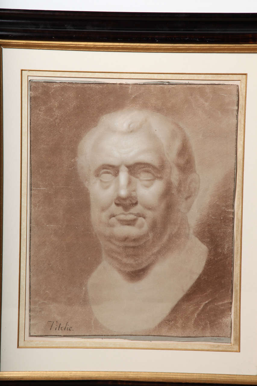Sepia Drawing of a Caesar For Sale at 1stDibs