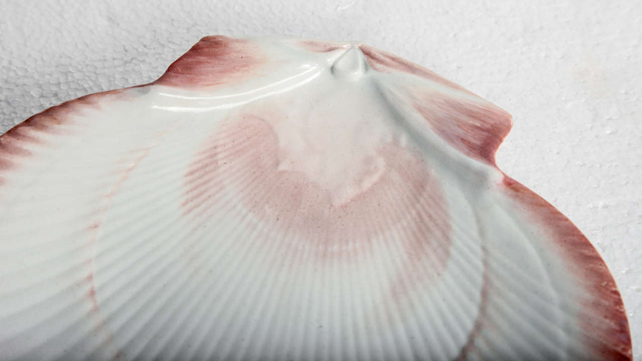 Wedgwood Pearlware Shell Plate at 1stDibs | wedgwood shell plate ...