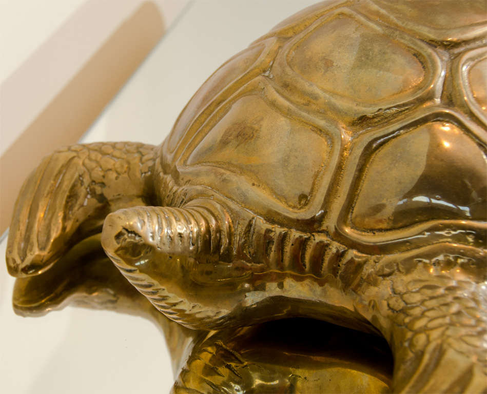 Giant Large Decorative Brass Turtle at 1stDibs | large brass turtle