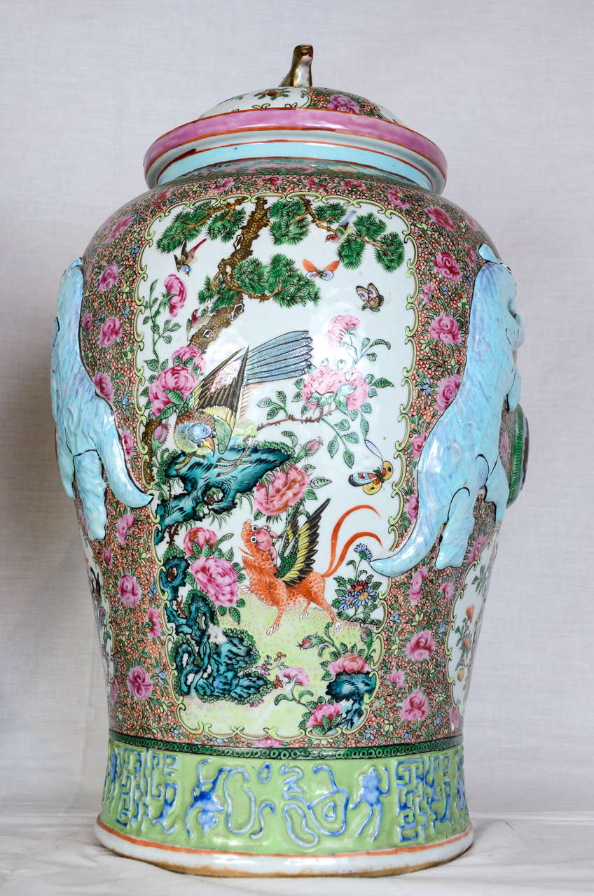 A Pair Canton Vases with Lions in Relief 19th Century at 1stDibs