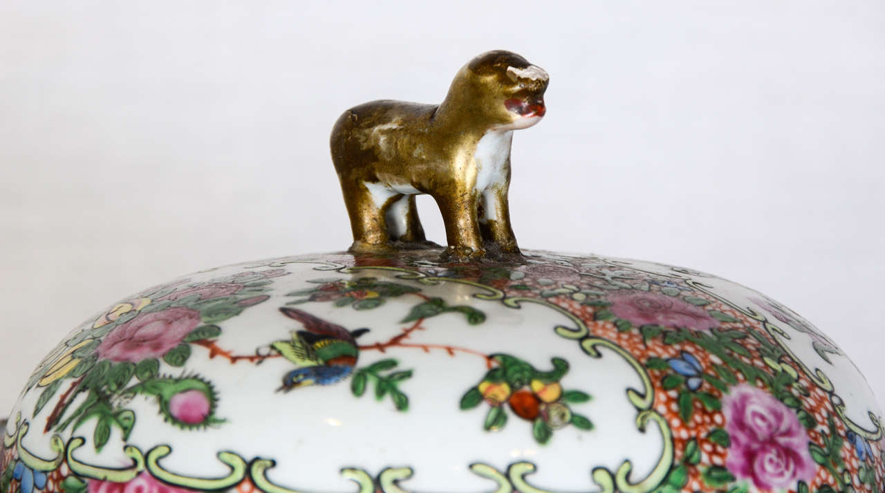 A Pair Canton Vases with Lions in Relief 19th Century at 1stDibs