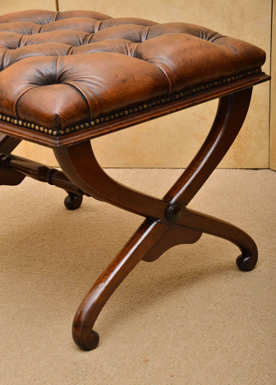 19th Century Mahogany X-Frame Leather Stool at 1stDibs