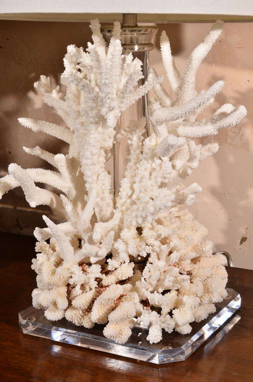 Pair of Coral Lamps at 1stDibs