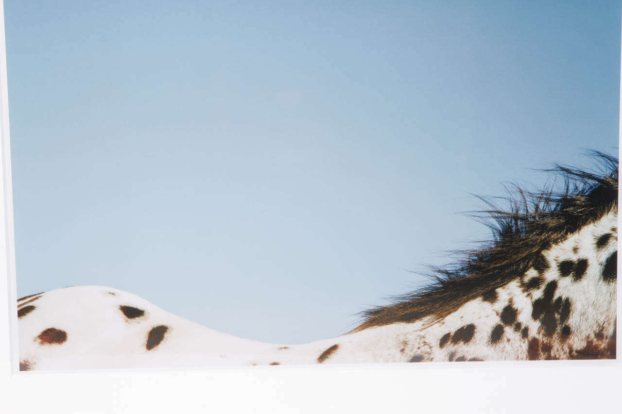 "Chance" by Mimi Plumb For Sale at 1stDibs