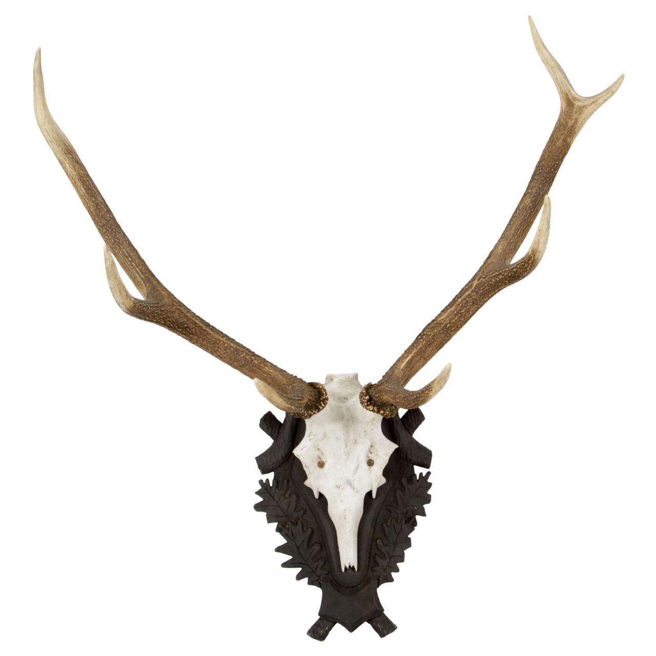 Red Stag Antlers at 1stDibs