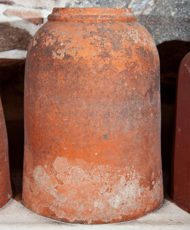 Gorgeous Terracotta Rhubarb Forcer at 1stDibs | rhubarb forcer usa ...