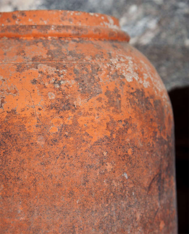 Gorgeous Terracotta Rhubarb Forcer at 1stDibs | rhubarb forcer usa ...