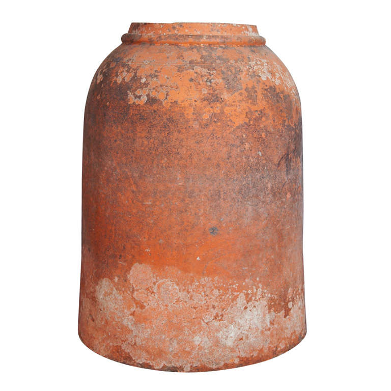 Gorgeous Terracotta Rhubarb Forcer at 1stDibs | rhubarb forcer usa ...