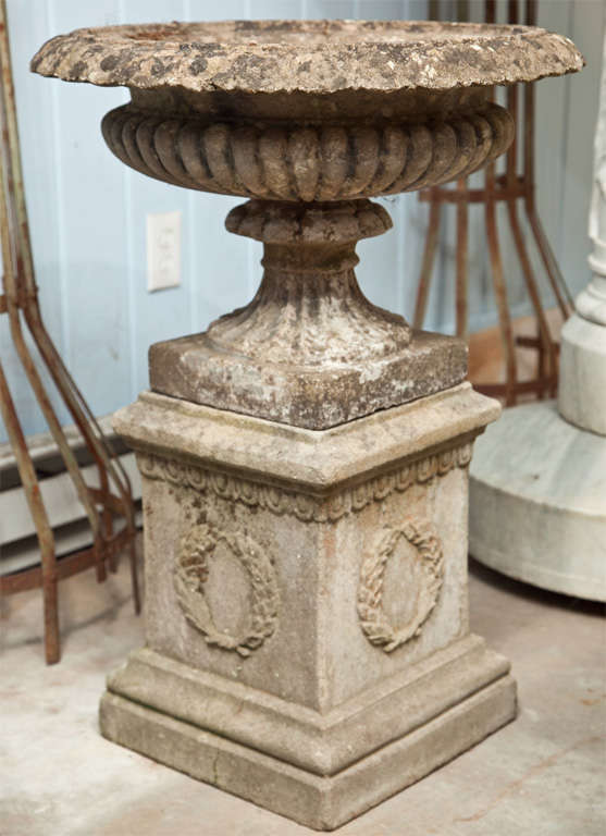 Pair of English Cast Stone Tazza Urns on Conforming Plinths at 1stDibs
